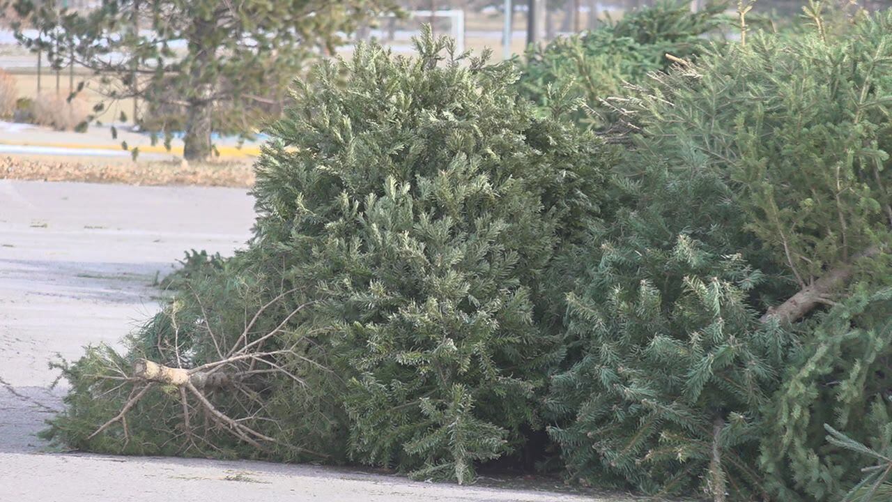Rapid City provides guidance for post-holiday waste disposal