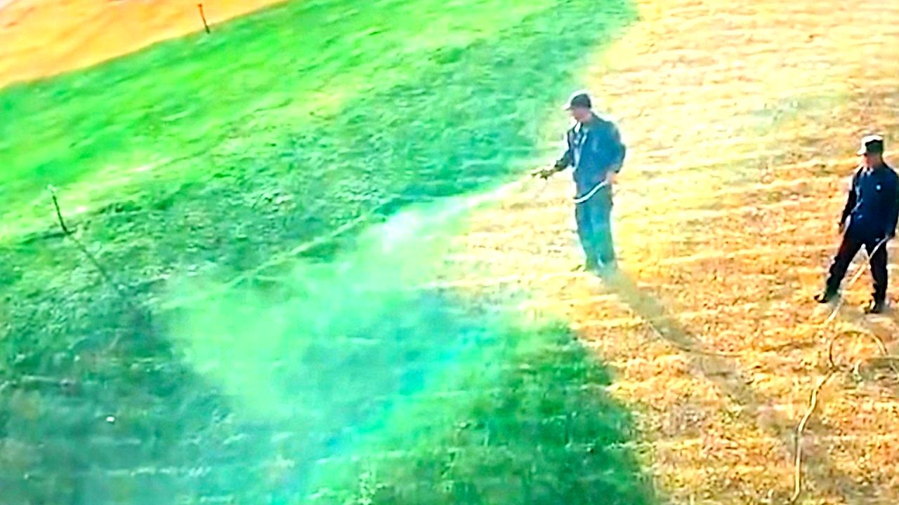 Workers captured spraying yellow grass with green liquid in China