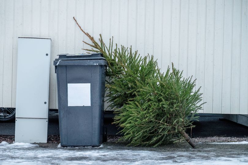 When you should take down Christmas tree to avoid bad luck and fire hazard