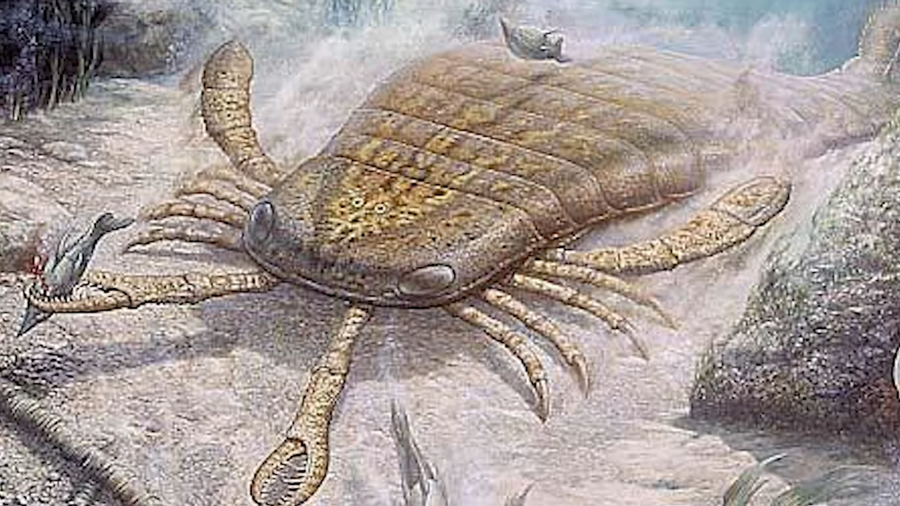 When rivers were ruled by giant sea scorpions