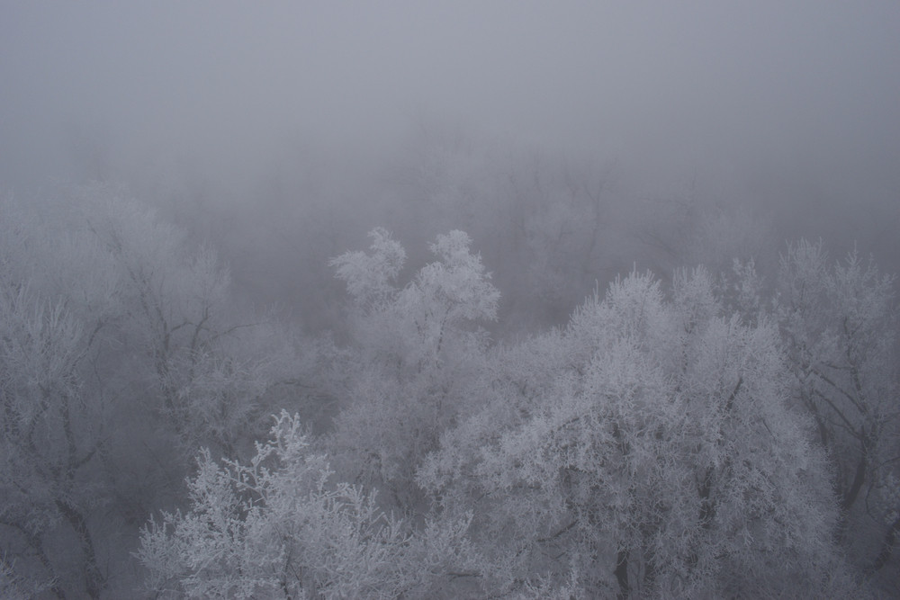 Vague de grand froid : vigilance accrue et plans d'urgence dans seize ...