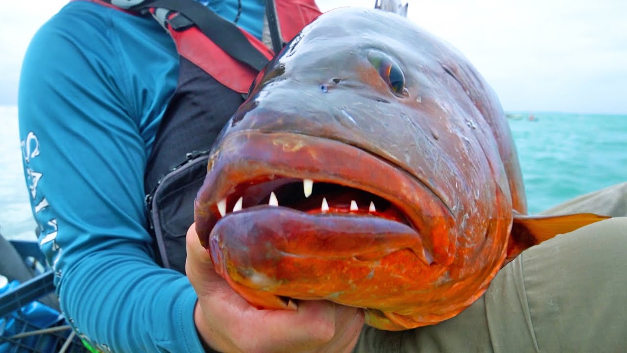 This calm snapper went into survival mode quickly