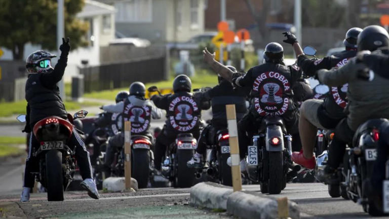 Nueva Zelandia les prohibió a estas pandillas usar sus distintivos ...