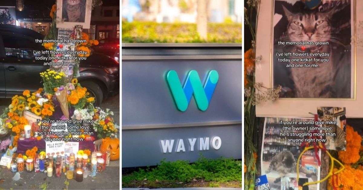 A Waymo vehicle hit a beloved neighborhood cat and the whole block is ...