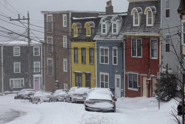Much of NL under winter storm warnings as heavy snow and winds hit the ...