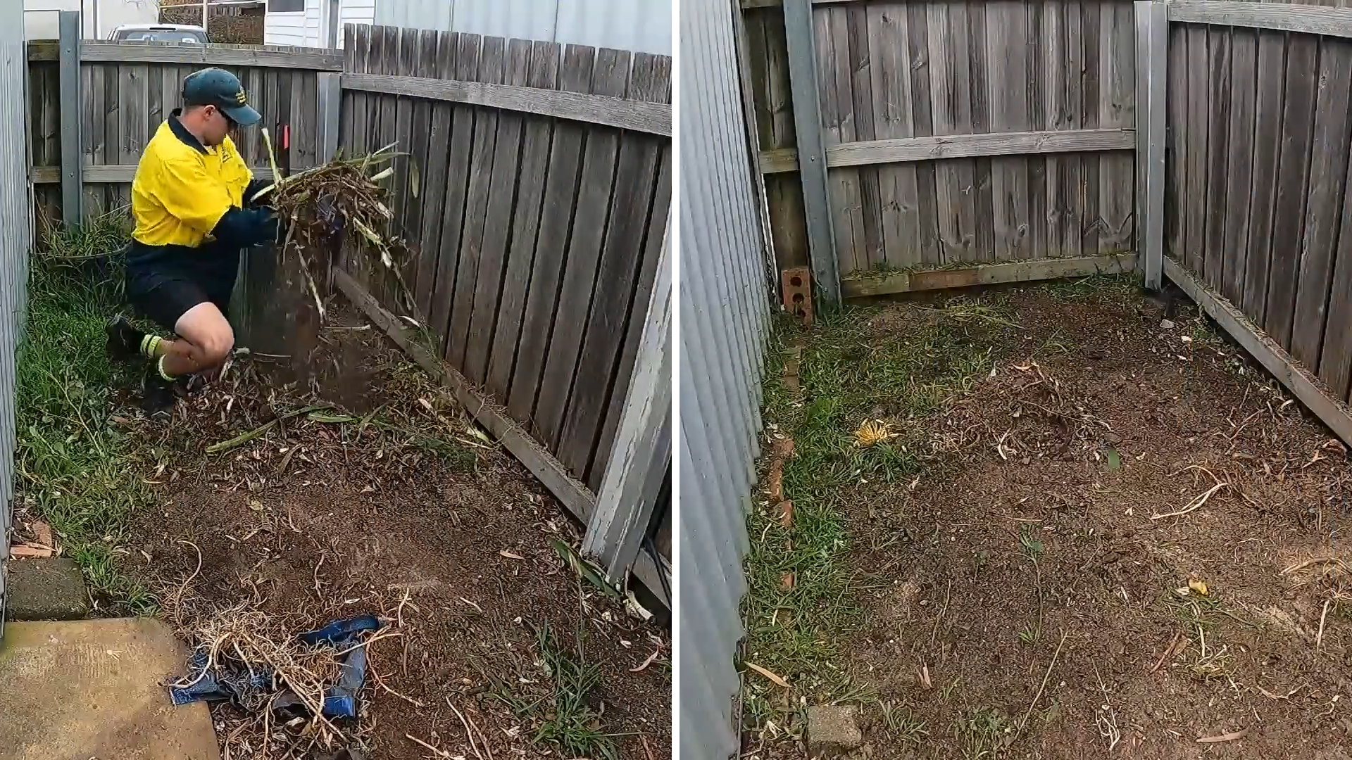 I transformed a wild garden into paradise