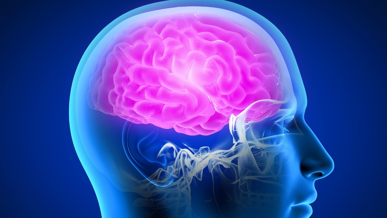 Scientists found a new way to decode the brain’s hidden language