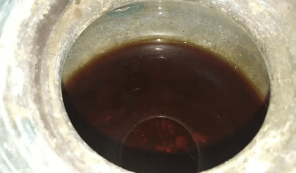 Archaeology breakthrough as experts uncover world's oldest bottle of ...