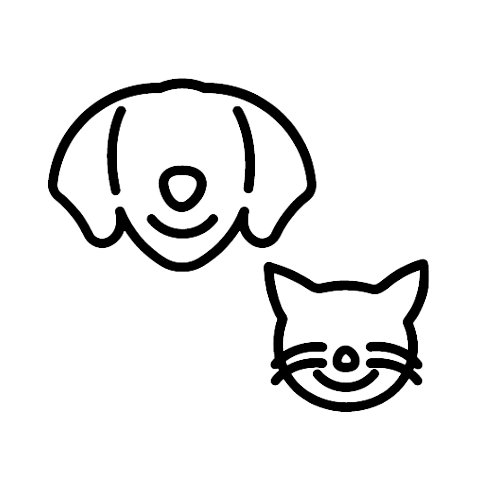 How to get a job in Europe as an American