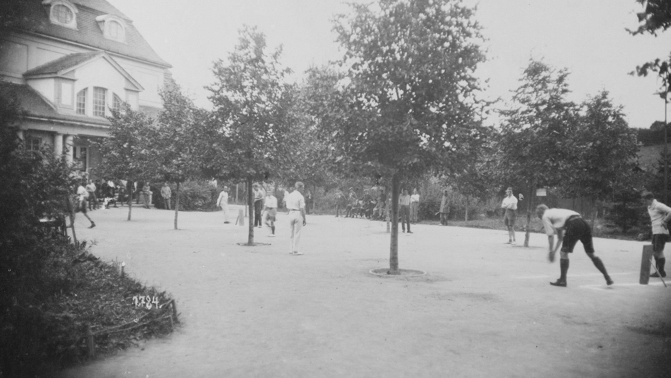 Cricket cartoons illustrate a match to rival the Ashes played by ...