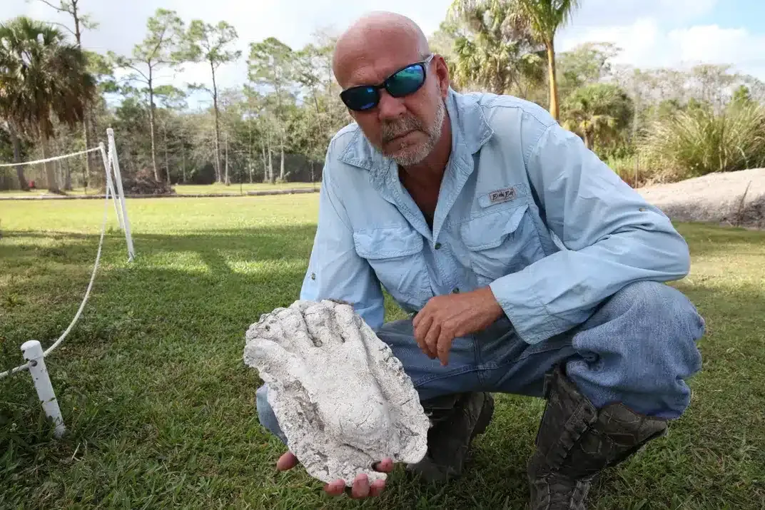 A video captures the Florida skunk ape, but what’s really behind it?