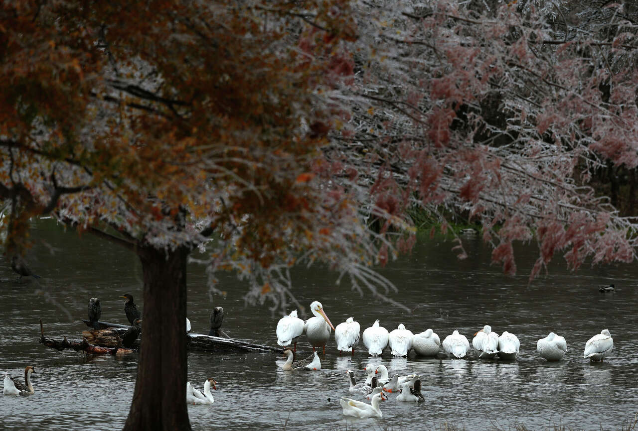 Cold front to dramatically shift Texas from warm to freezing