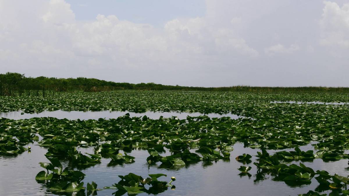 Can you hike in Everglades National Park? What to know
