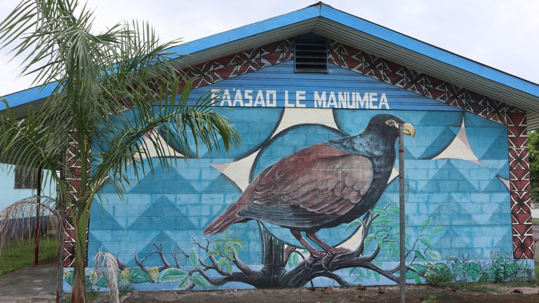 Last of its kind dodo relative spotted in a remote Samoan rainforest
