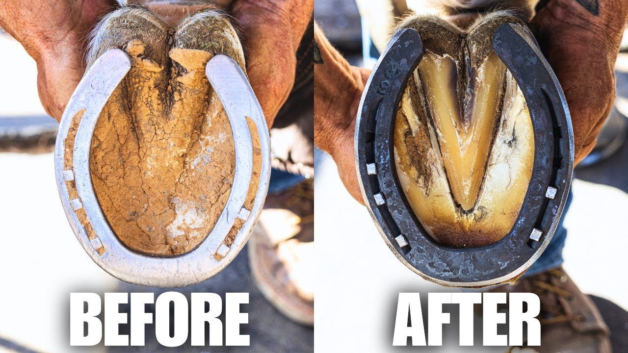 Why hoof restoration is oddly satisfying