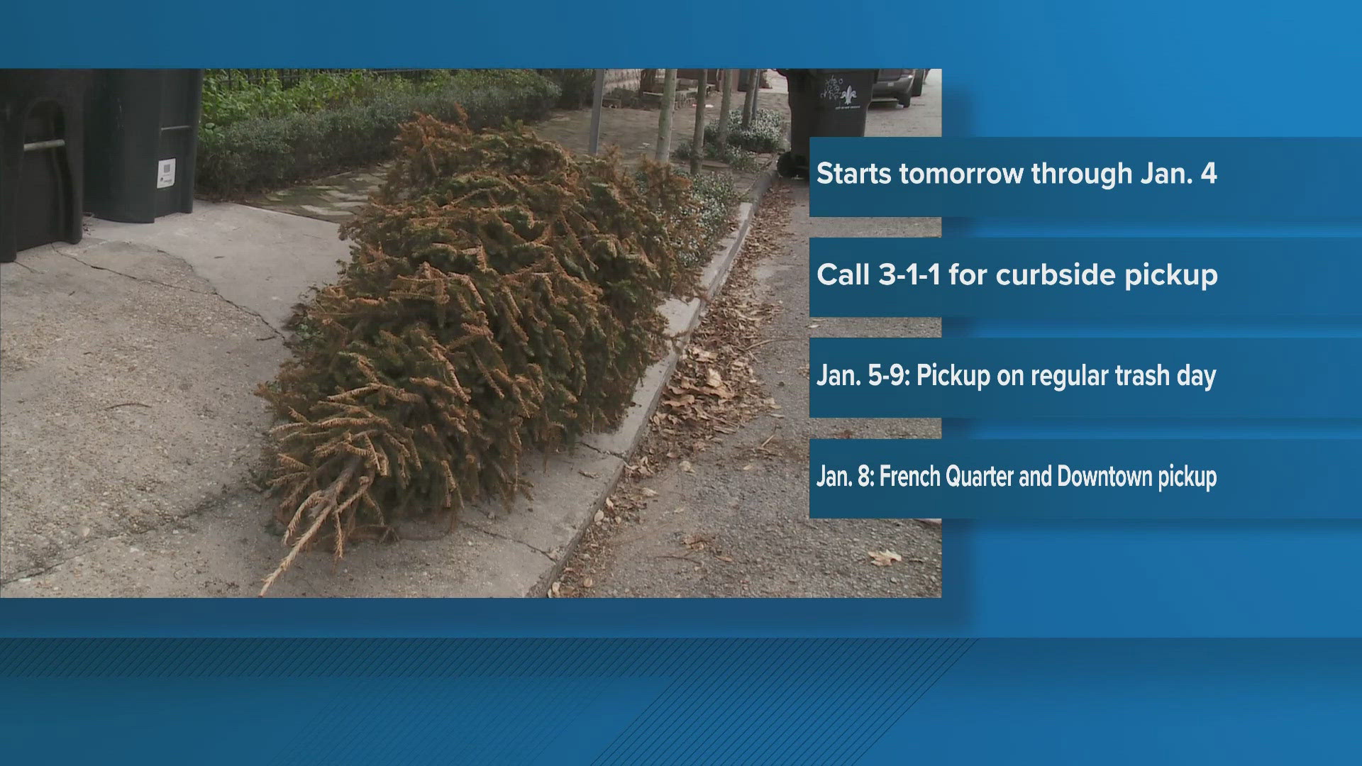 New Orleans Christmas tree recycling program