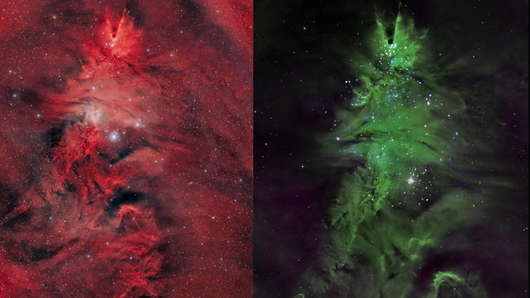 Cosmic Christmas tree: Star cluster 2,700 light-years away shows active ...