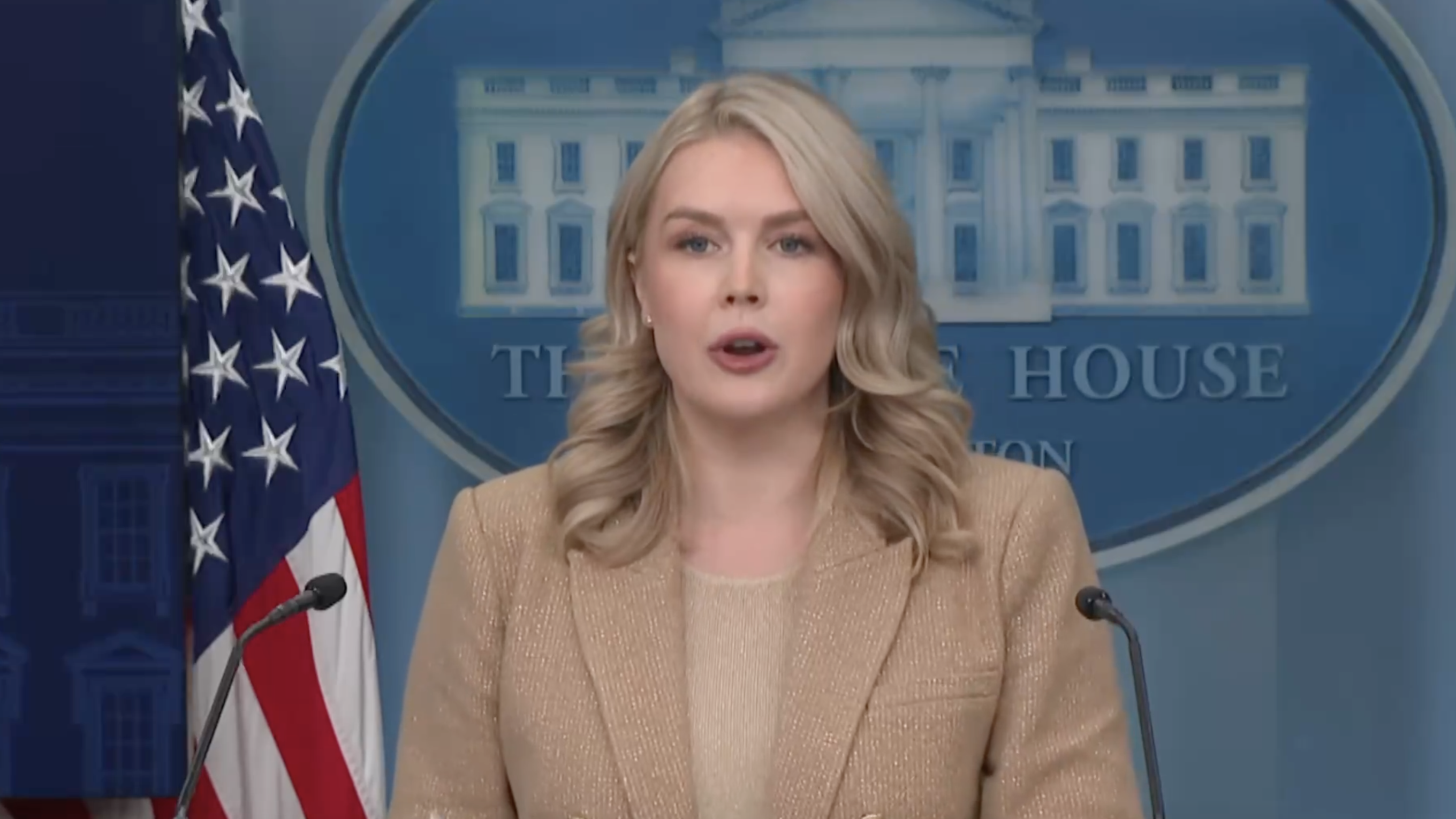 'The Trump administration has done more': Karoline Leavitt makes ...