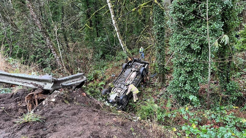 Thurston County deputy narrowly escapes falling tree during rescue on ...