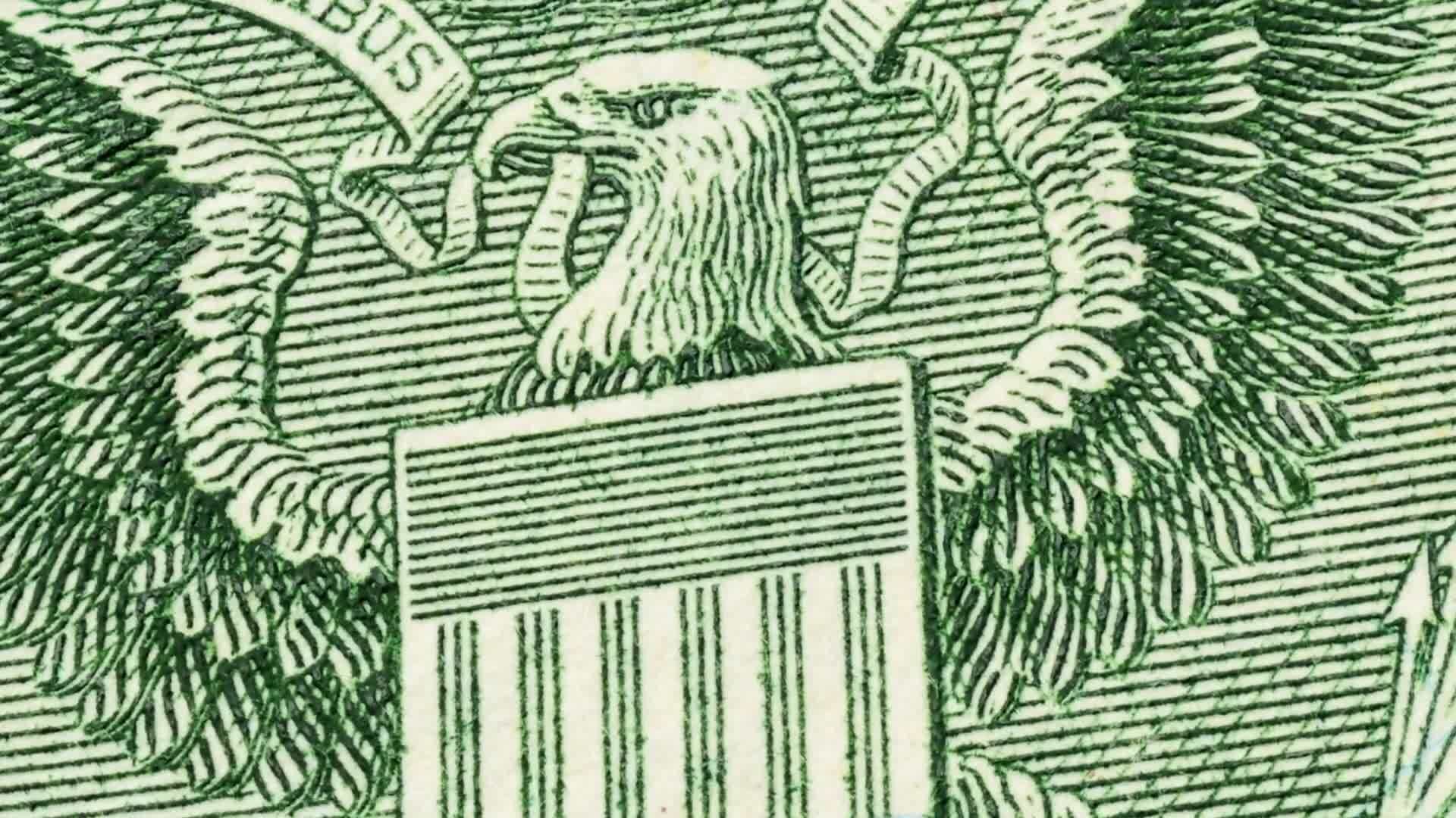 North America is home to two very distinct eagle species