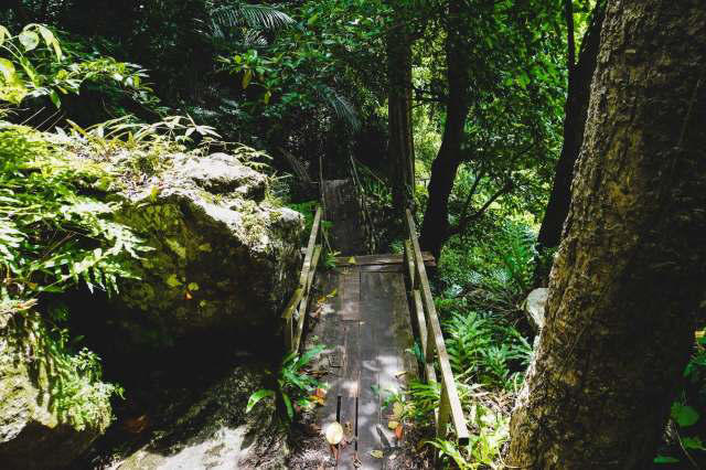 Authorities uncover shocking criminal operation after putting cameras ...