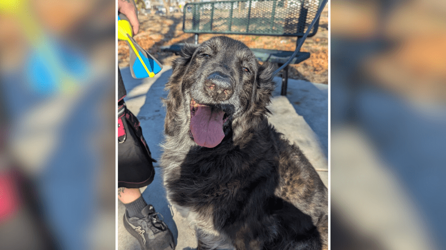 Gallery: Warm Christmas Day means more time outside