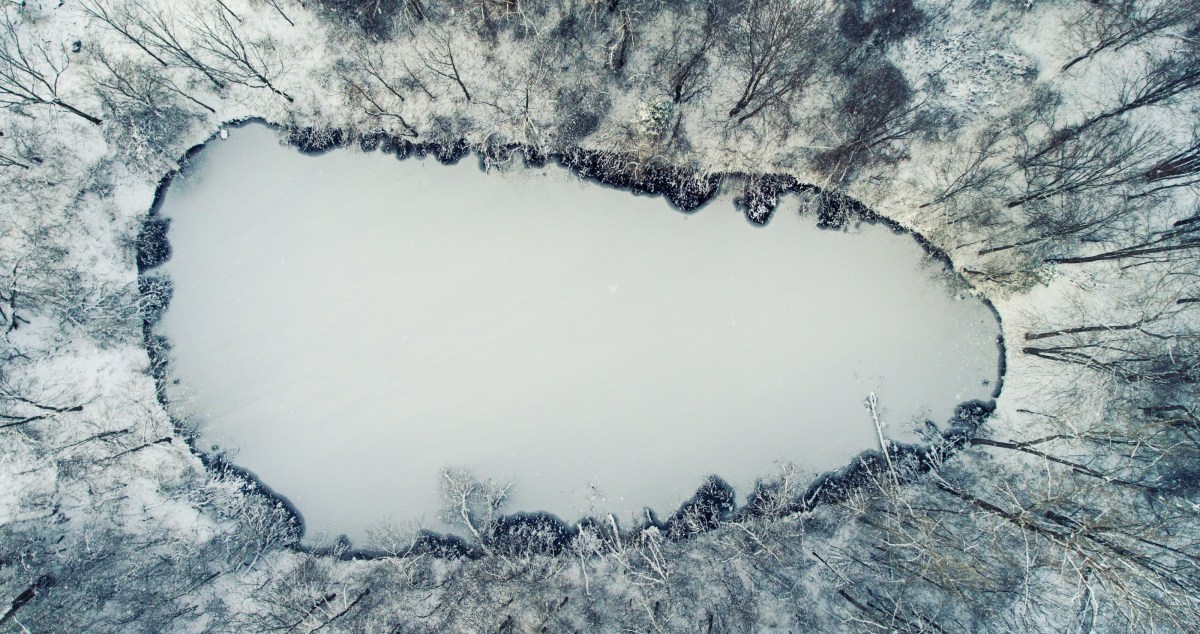 Woman opened her curtains and got a front row seat to bears on ice