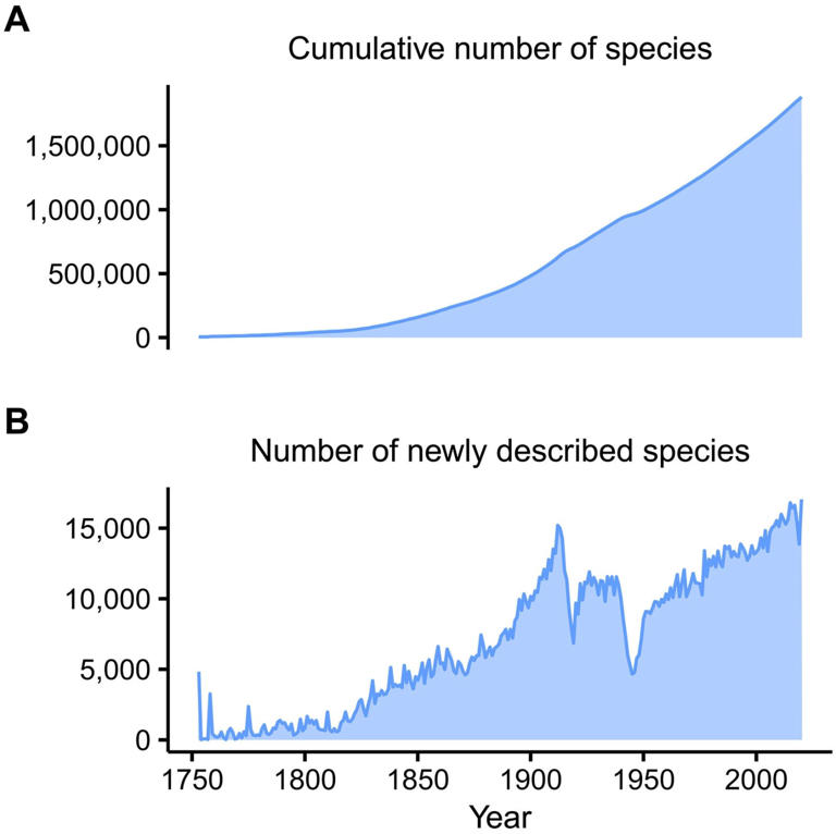 Scientists are discovering new species faster than ever, study finds