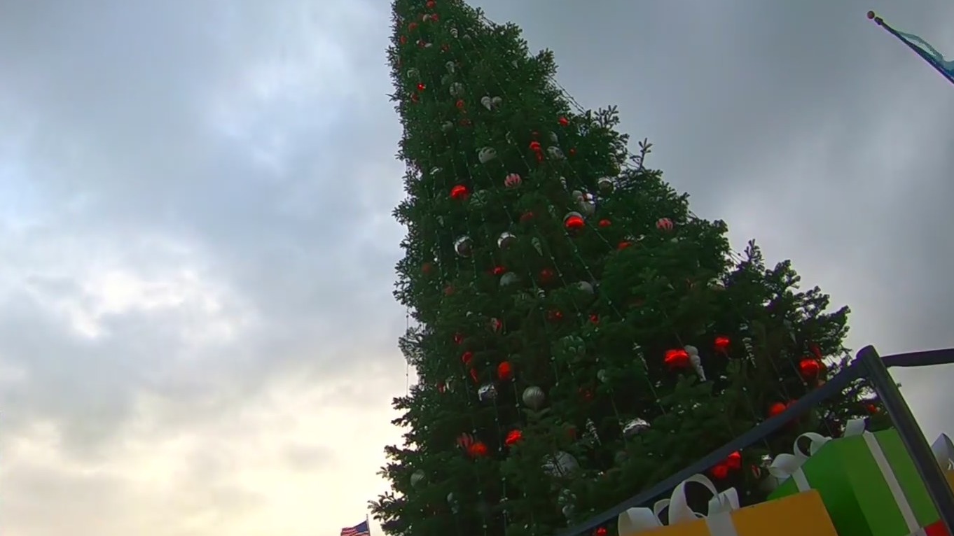 What are we thankful for this Christmas?