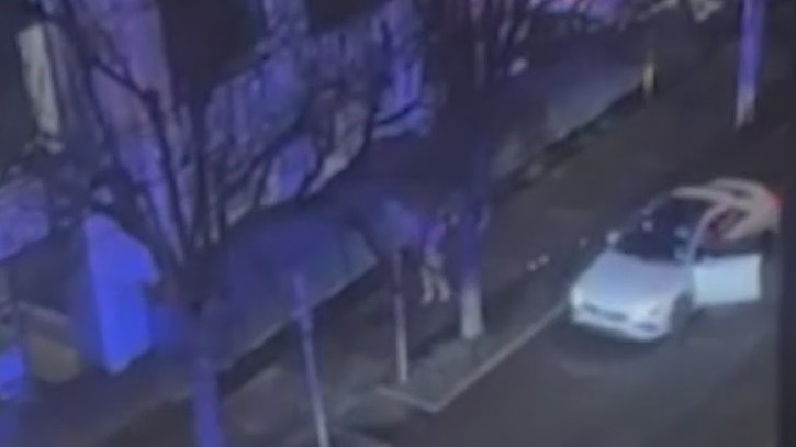 Man accused in early morning domestic disturbance after shots fired in ...