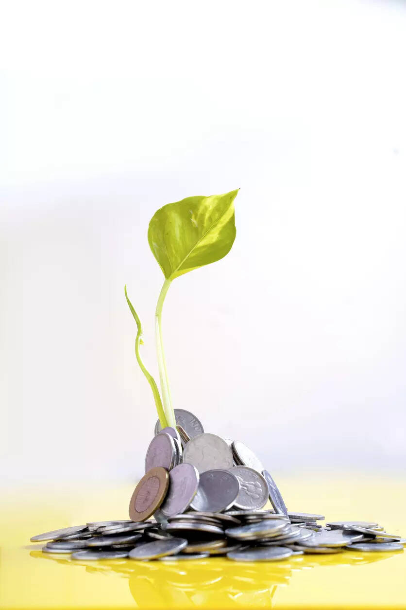 Best medium duration mutual funds to invest in December 2025