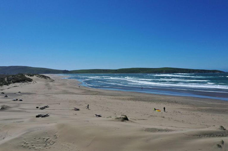 Suspected great white shark attack in Northern California as surfer ...