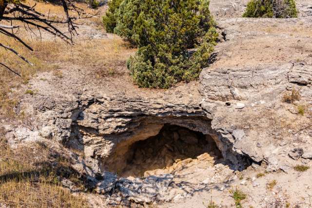 Expert captures stunning footage after leaving camera in US cave for 10 ...