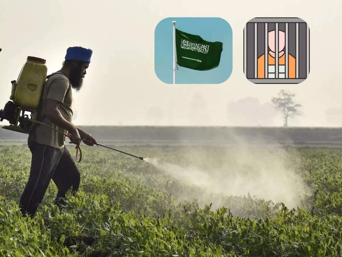 Saudi Arabia's draft pesticide regulation proposes heavy fines, jail ...