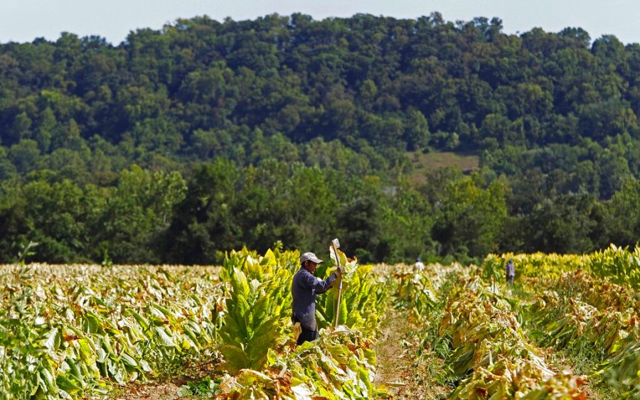7 farmers, warehouse manager sentenced for crop insurance fraud scheme ...