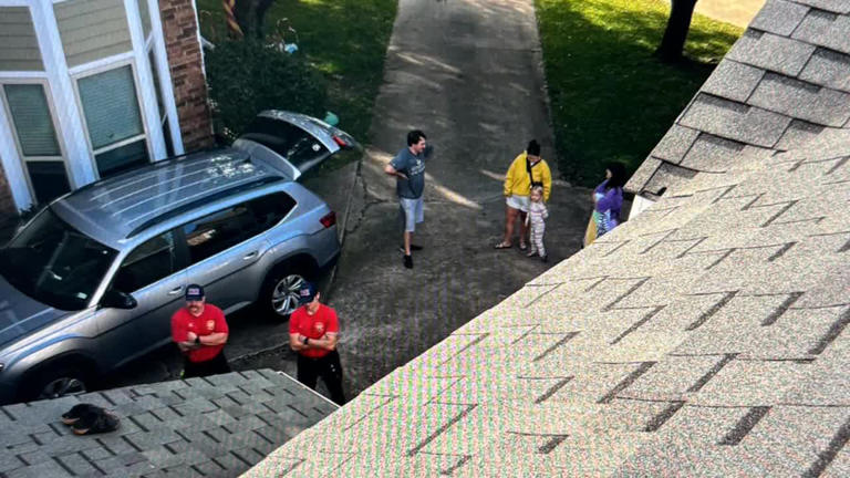 Felix the Cat rests under the tree after Christmas Eve chimney rescue