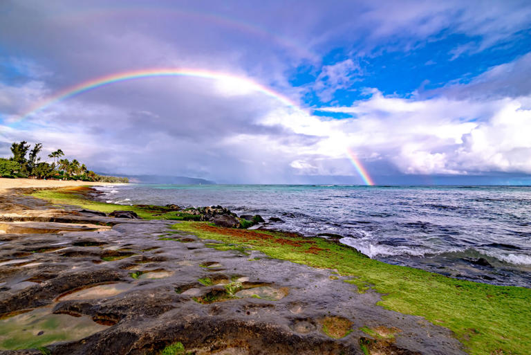 Hawaii winter vacation: Everything you need to know