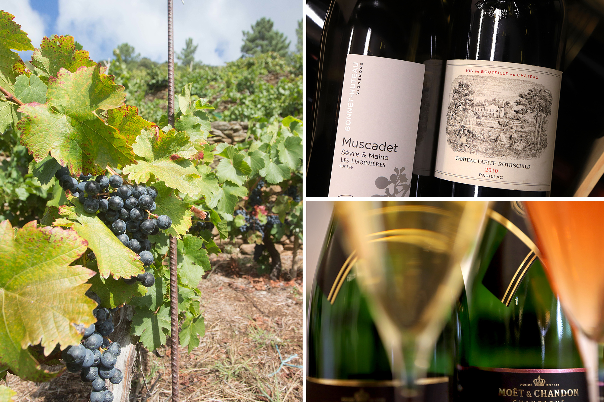 Fine wine prices slide for third year in a row as tariffs and stocks ...