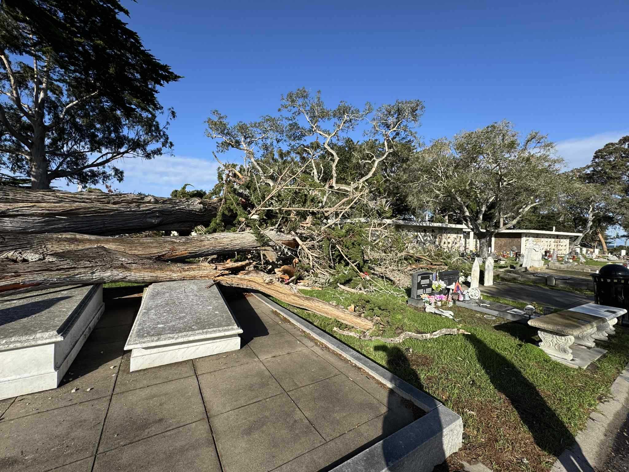 Storm impacts: Damage reports, power outages and road closures on Christmas