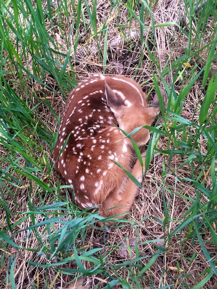 38 times people found something weird in the woods and just had to share
