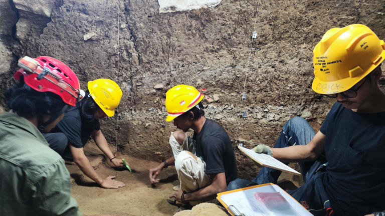 Pertemuan manusia dan hominin di Sulawesi 50.000 tahun lalu – "Dua ...