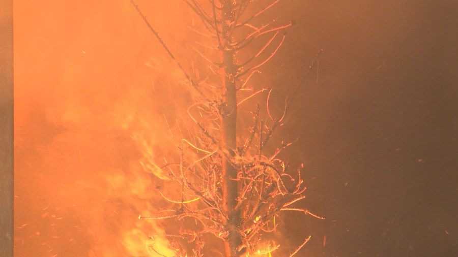 Peoria Fire Department shares tips to prevent holiday fires