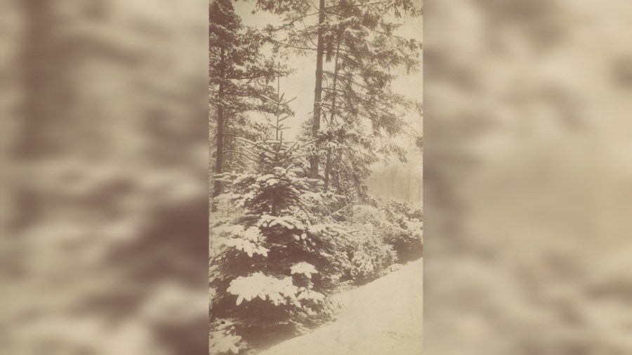 Colorado Springs’ first Christmas