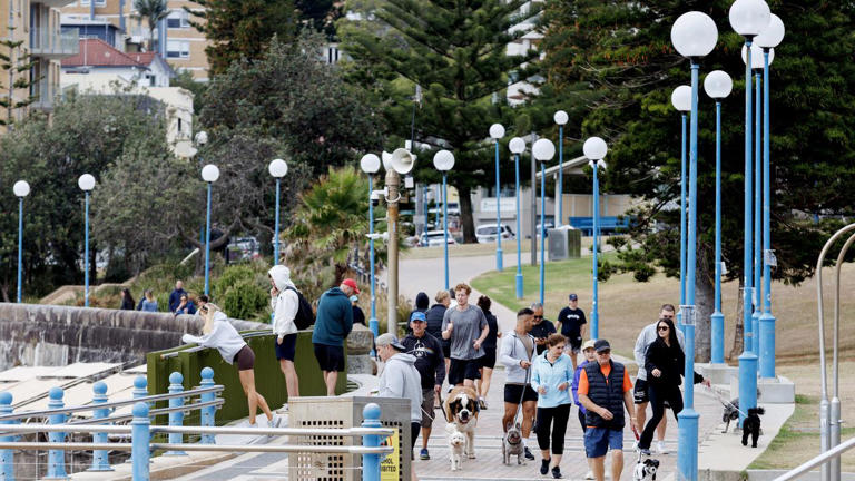 'Mass urinal': Issue with beach ragers
