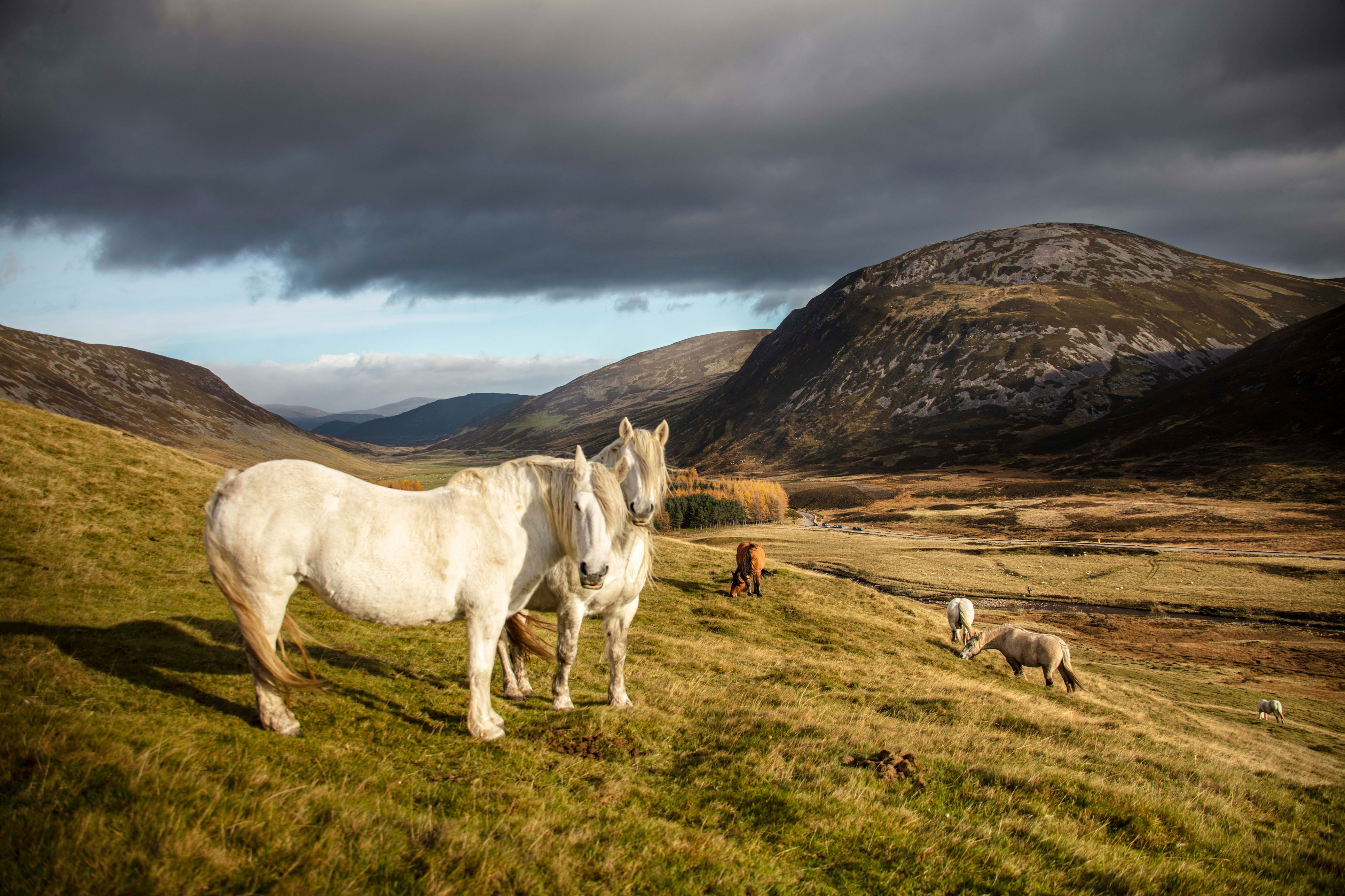 12 places to build your Scotland itinerary around