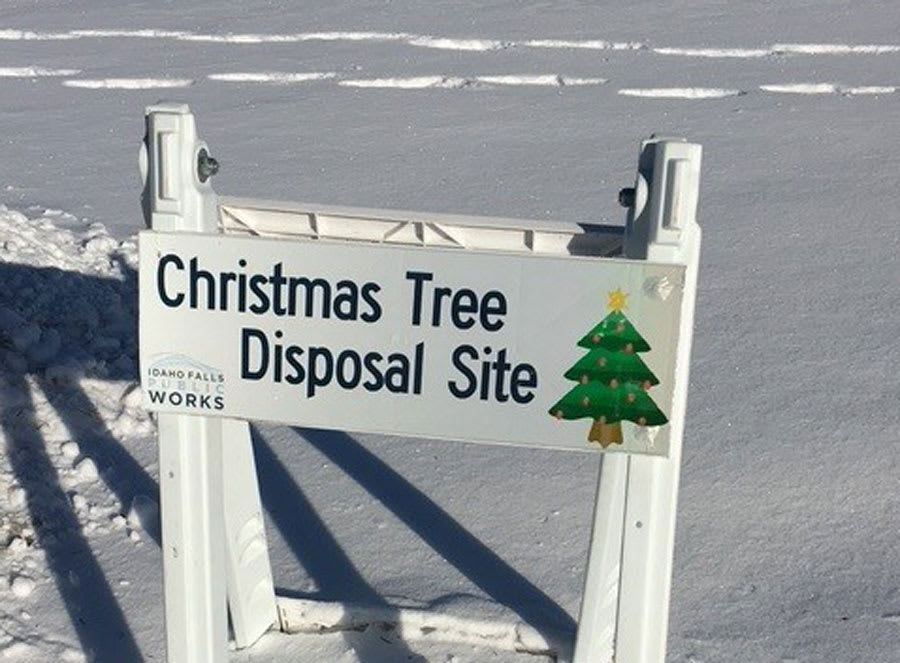 Idaho Falls provides Christmas tree disposal sites citywide through Jan. 31