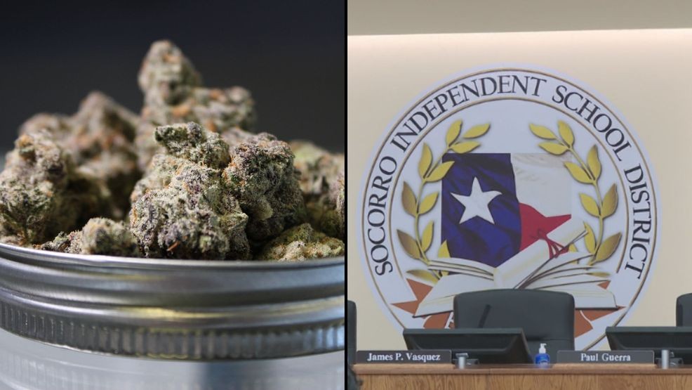Socorro ISD offers rehab program for students with first-time marijuana ...