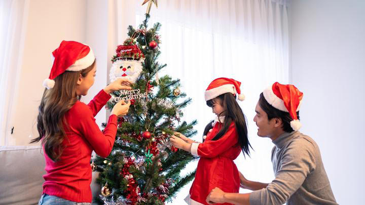 Lumut di Dekorasi Natal Simpan DNA Hewan Sekitar