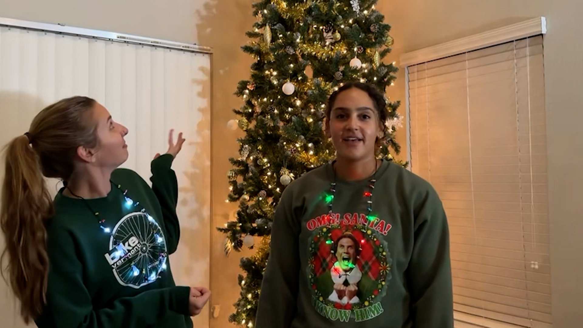 Roommates erect massive Christmas tree after delivery whoopsie