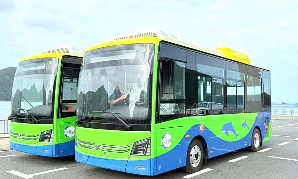 Con Dao debuts public electric bus line